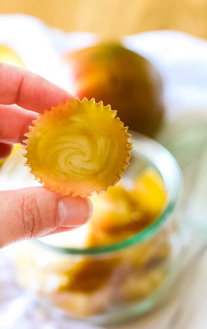 Mango and Cream Gummy Recipe - Trader Joe's Copy Cat (Paleo, GAPS, Low ...
