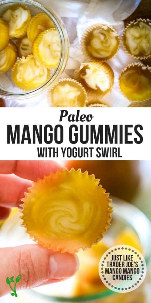 Mango and Cream Gummy Recipe - Trader Joe's Copy Cat (Paleo, GAPS, Low ...