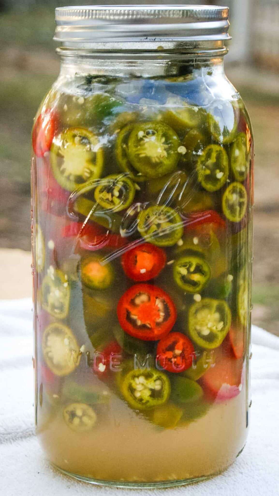 Lacto-Fermented Jalapeño Peppers - Prepare + Nourish
