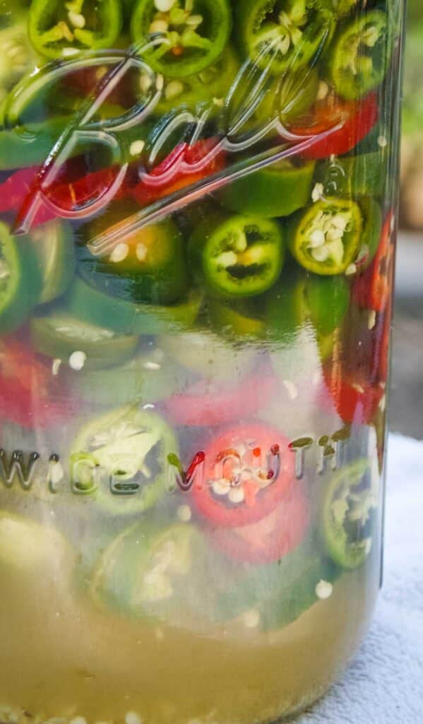 Lacto-Fermented Jalapeño Peppers - Prepare + Nourish