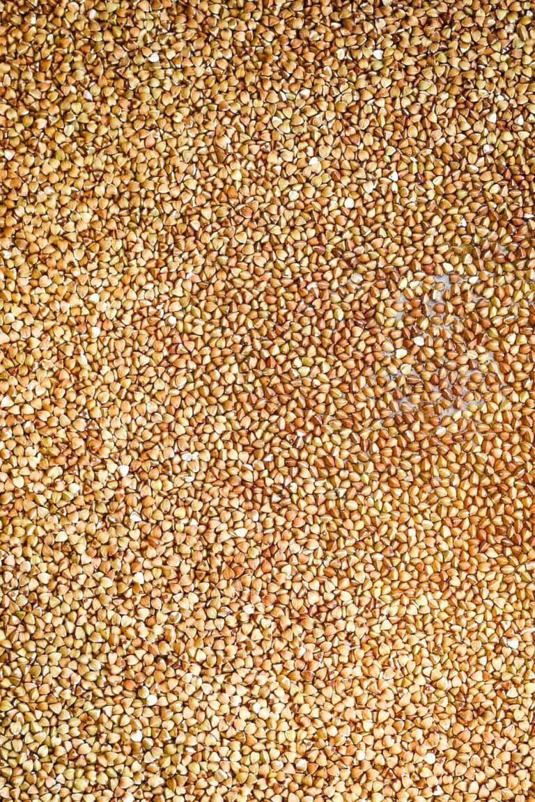 How to Roast Buckwheat in Oven - Prepare + Nourish