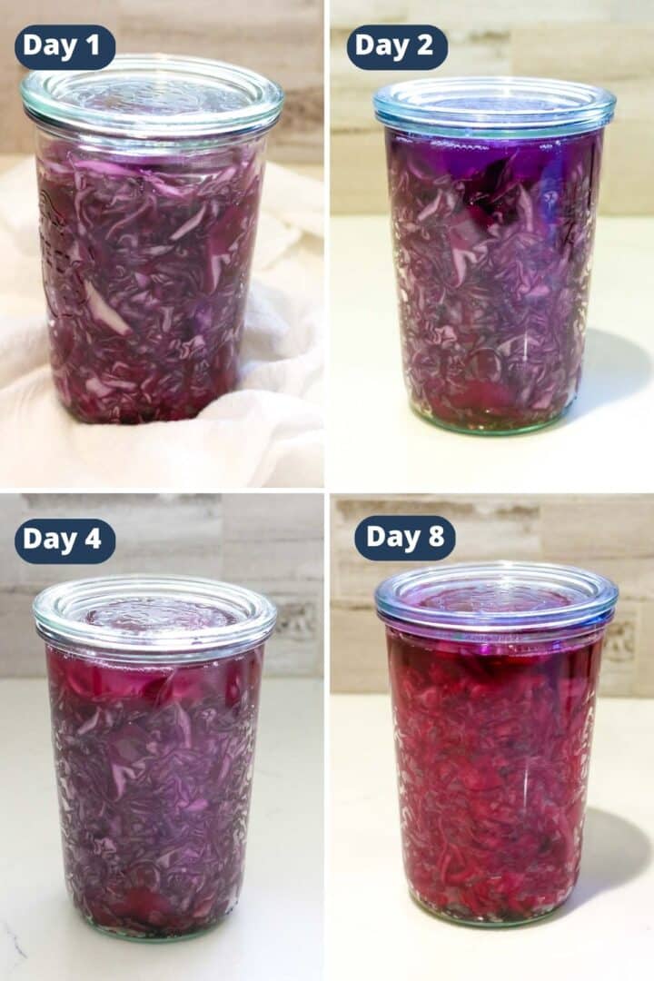 Red Cabbage Sauerkraut Recipe (Fermented Red Cabbage) - Prepare + Nourish
