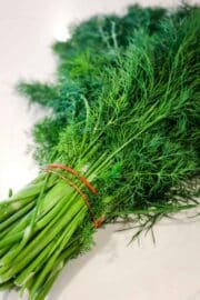 How to Store Fresh Dill - 3 Easy Ways to Preserve Herbs - Prepare + Nourish