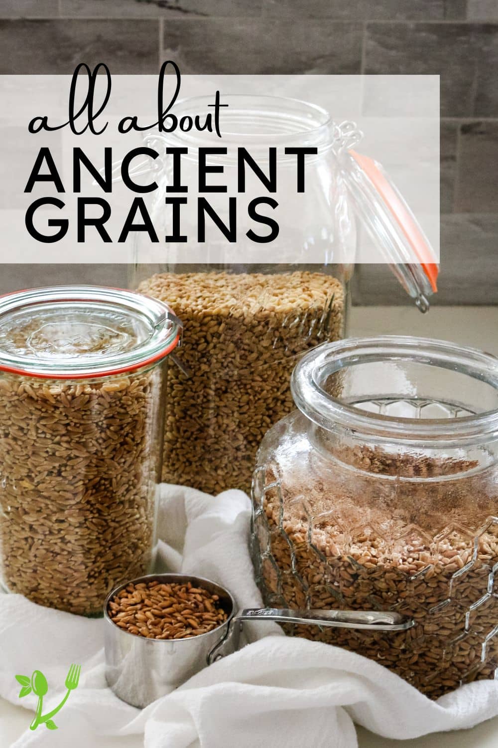 Ancient Grains are Back and Better than Ever - Prepare + Nourish