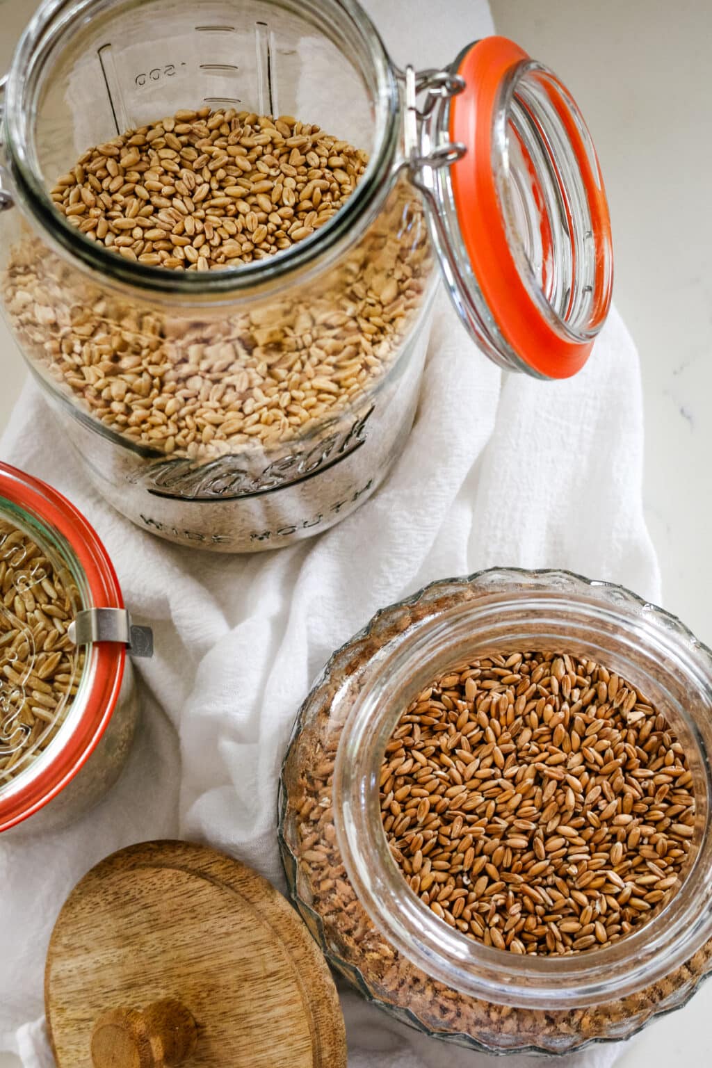 Ancient Grains are Back and Better than Ever - Prepare + Nourish