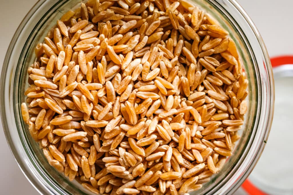 Ancient Grains are Back and Better than Ever - Prepare + Nourish