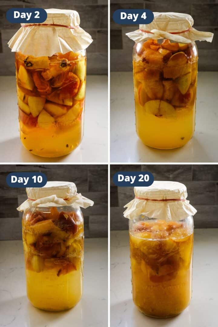 Homemade Apple Cider Vinegar - Prepare + Nourish